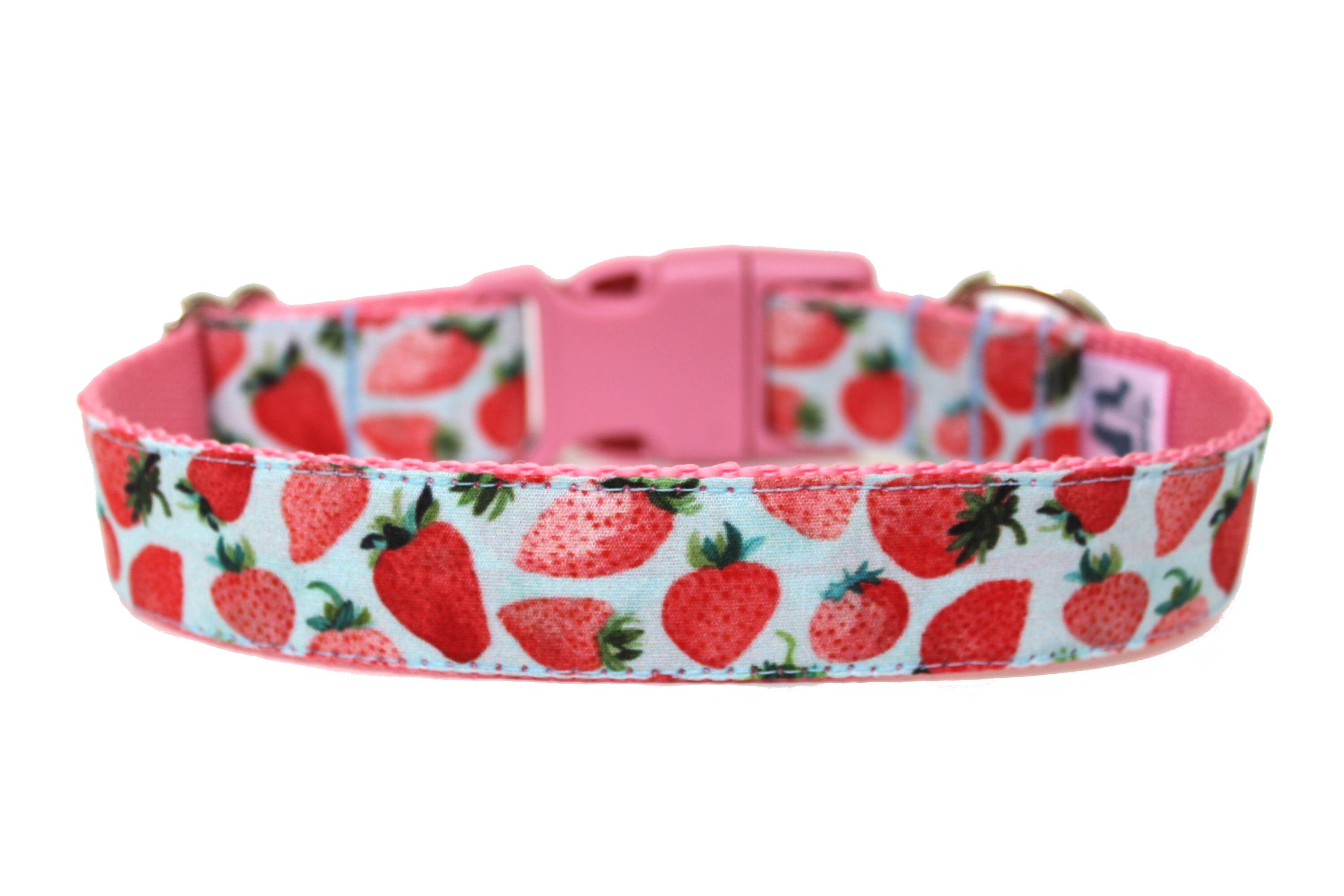 Strawberry Dog Collar 1" Summer Dog Collar - Etsy