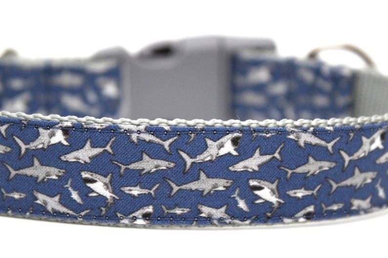 Shark Dog Collar 3/4 or 1 Boy Dog Collar | Etsy