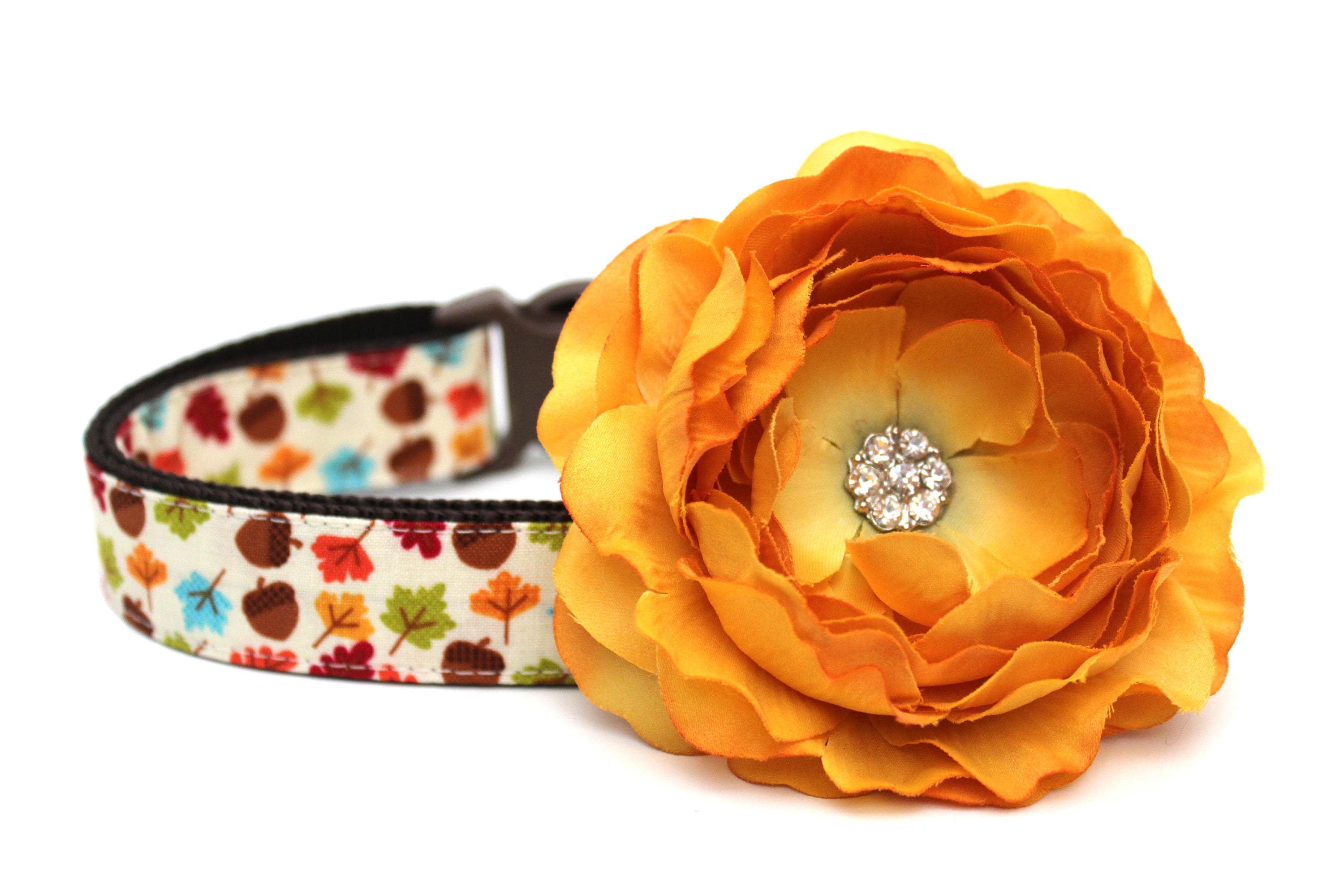 Autumn Dog Collar, Acorn & Leaf Dog Collar, Fall Dog Collar, Woodland ...