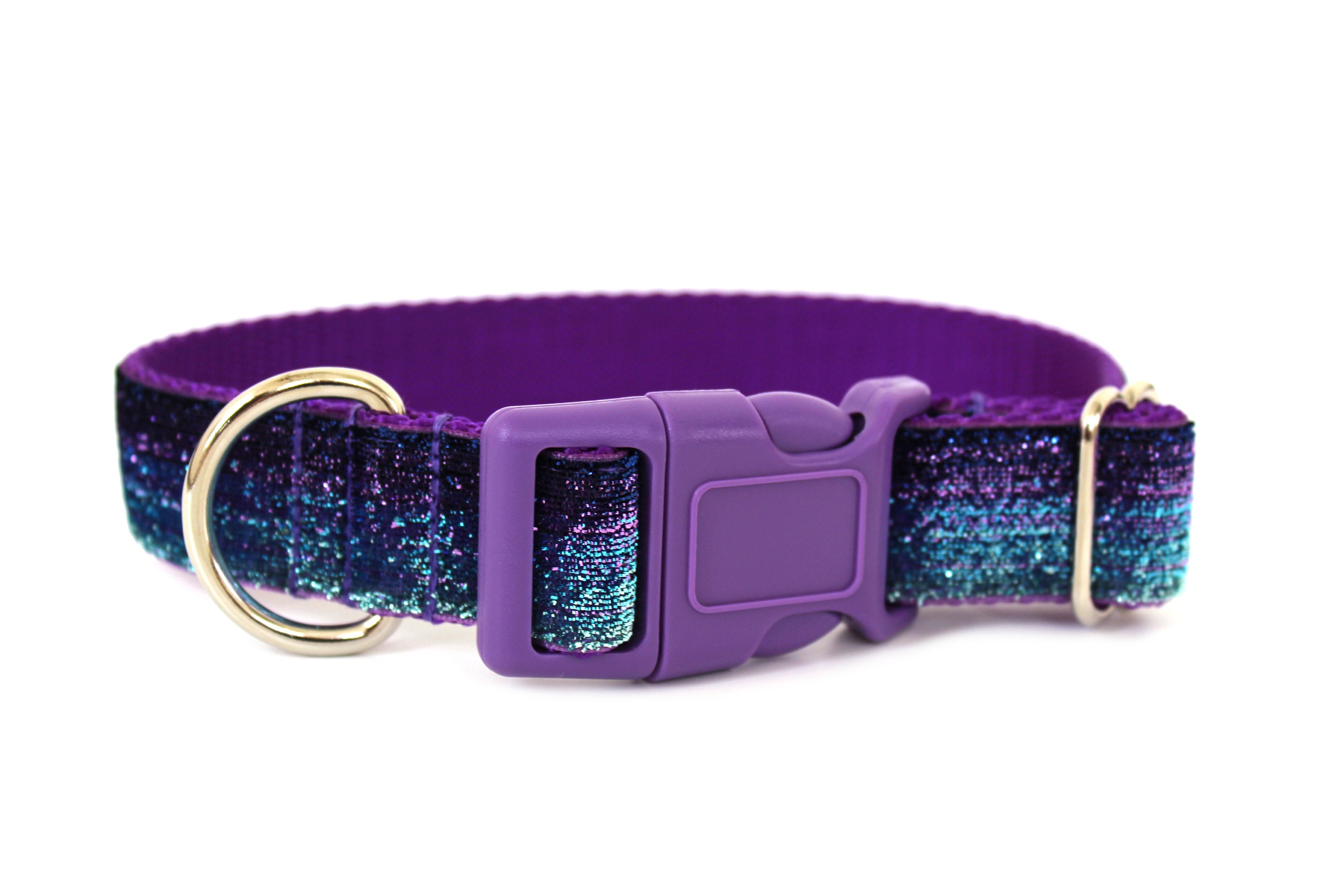 Purple Dog Collar 1