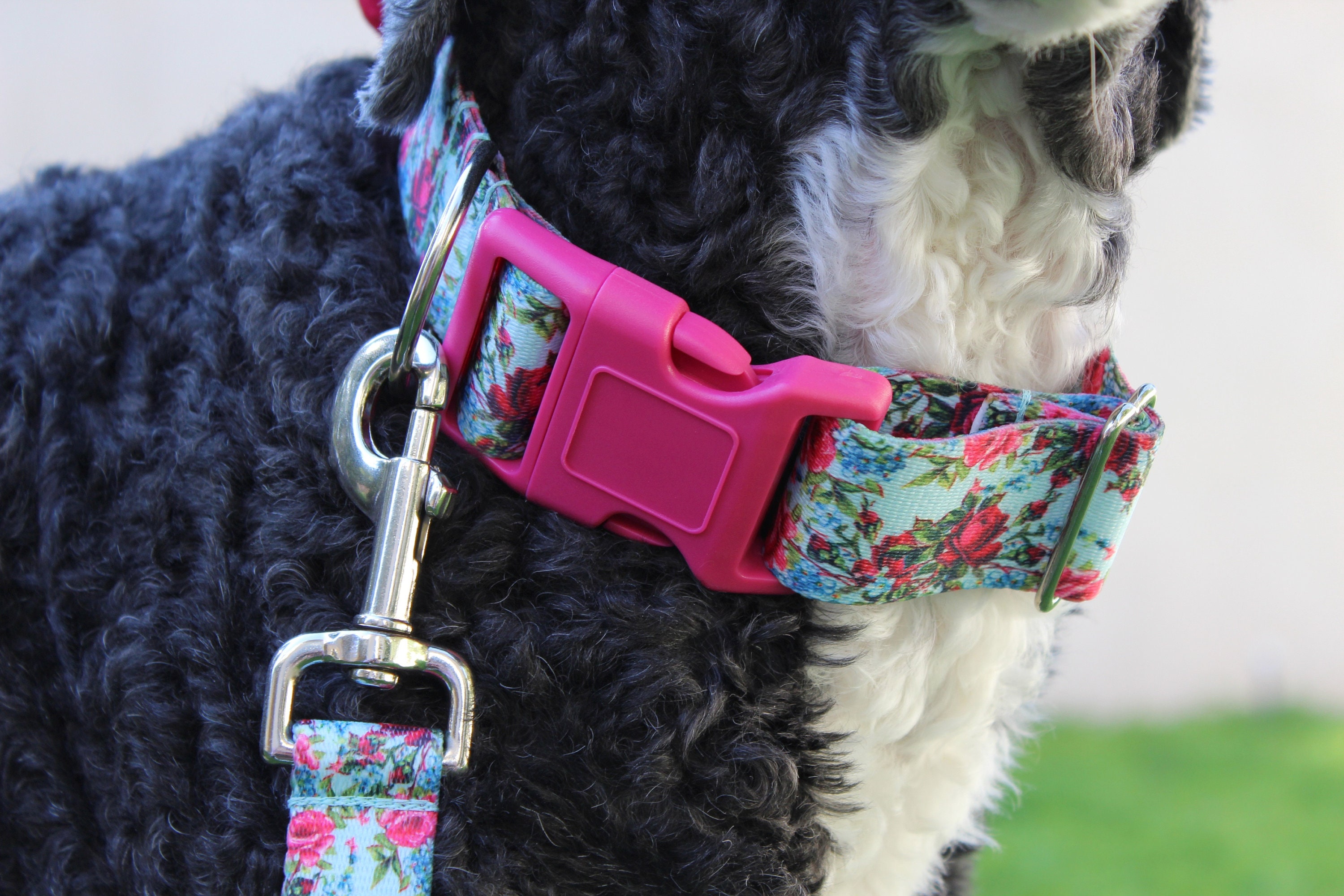 Floral Dog Collar 1.5 Spring Dog Collar Victorian Dog | Etsy