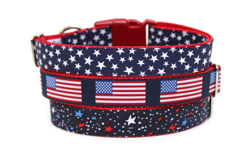 Patriotic Dog Collar 5/8" or 1" American Dog Collar - Etsy