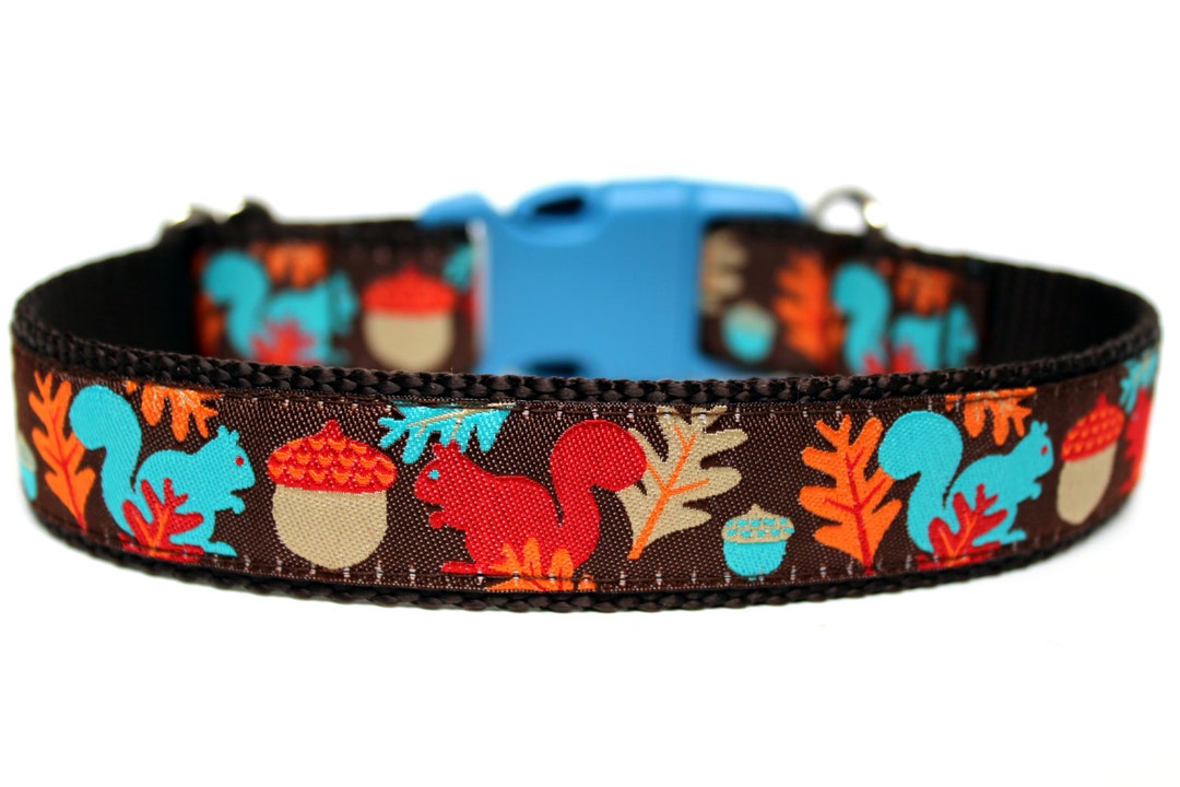 Squirrel Dog Collar 1" Fall Dog Collar - Etsy