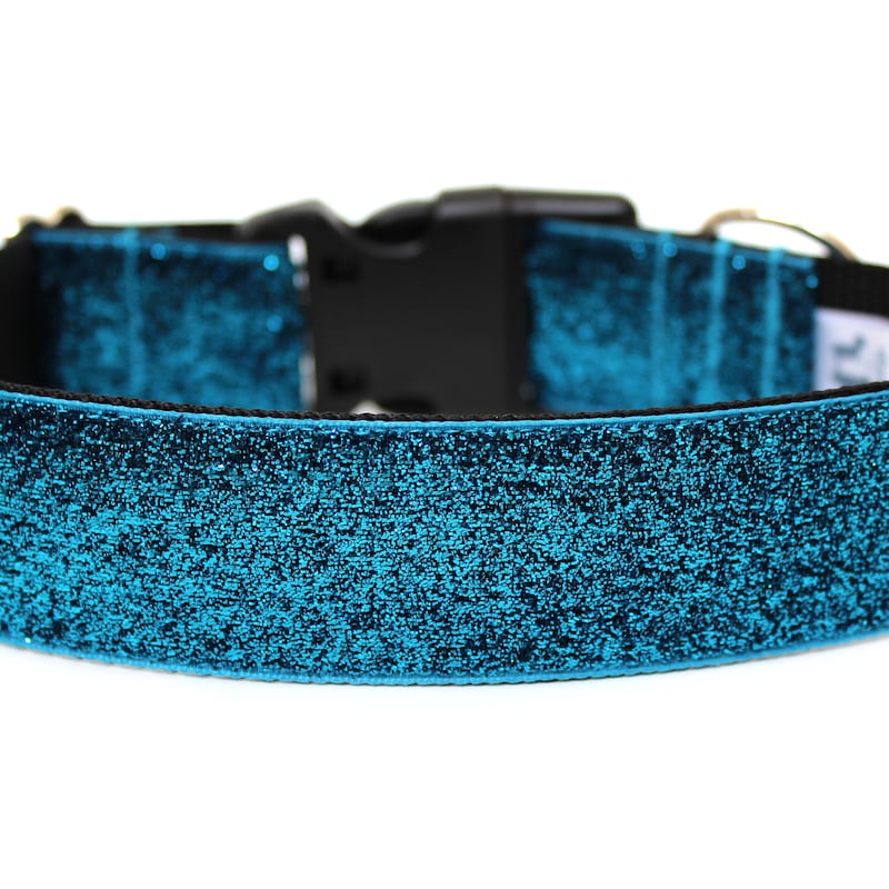 Turquoise Dog Collar - Etsy