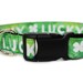 Lucky Dog Collar 1" St Patricks Day Dog Collar Shamrock Dog Collar - Etsy