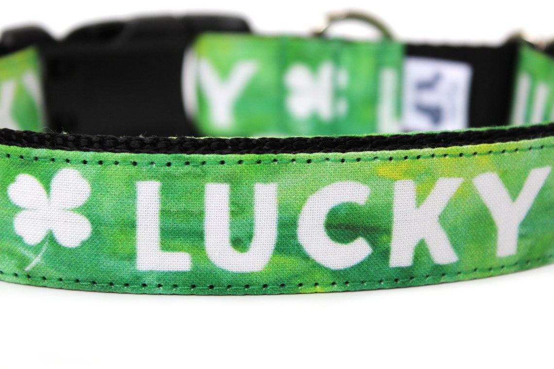 Lucky Dog Collar 1" St Patricks Day Dog Collar Shamrock Dog Collar - Etsy