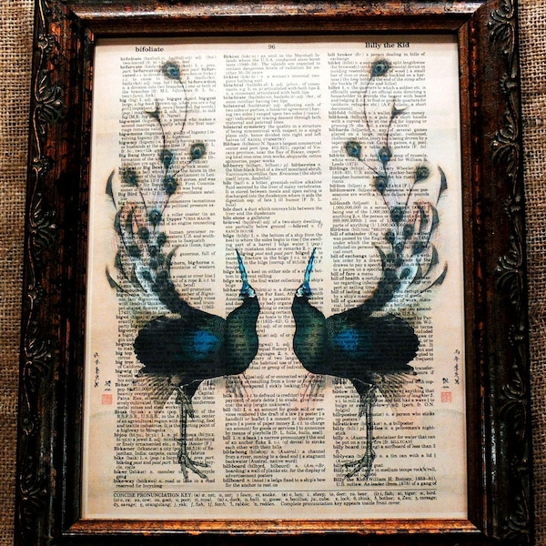 Bird Dictionary Art - Etsy