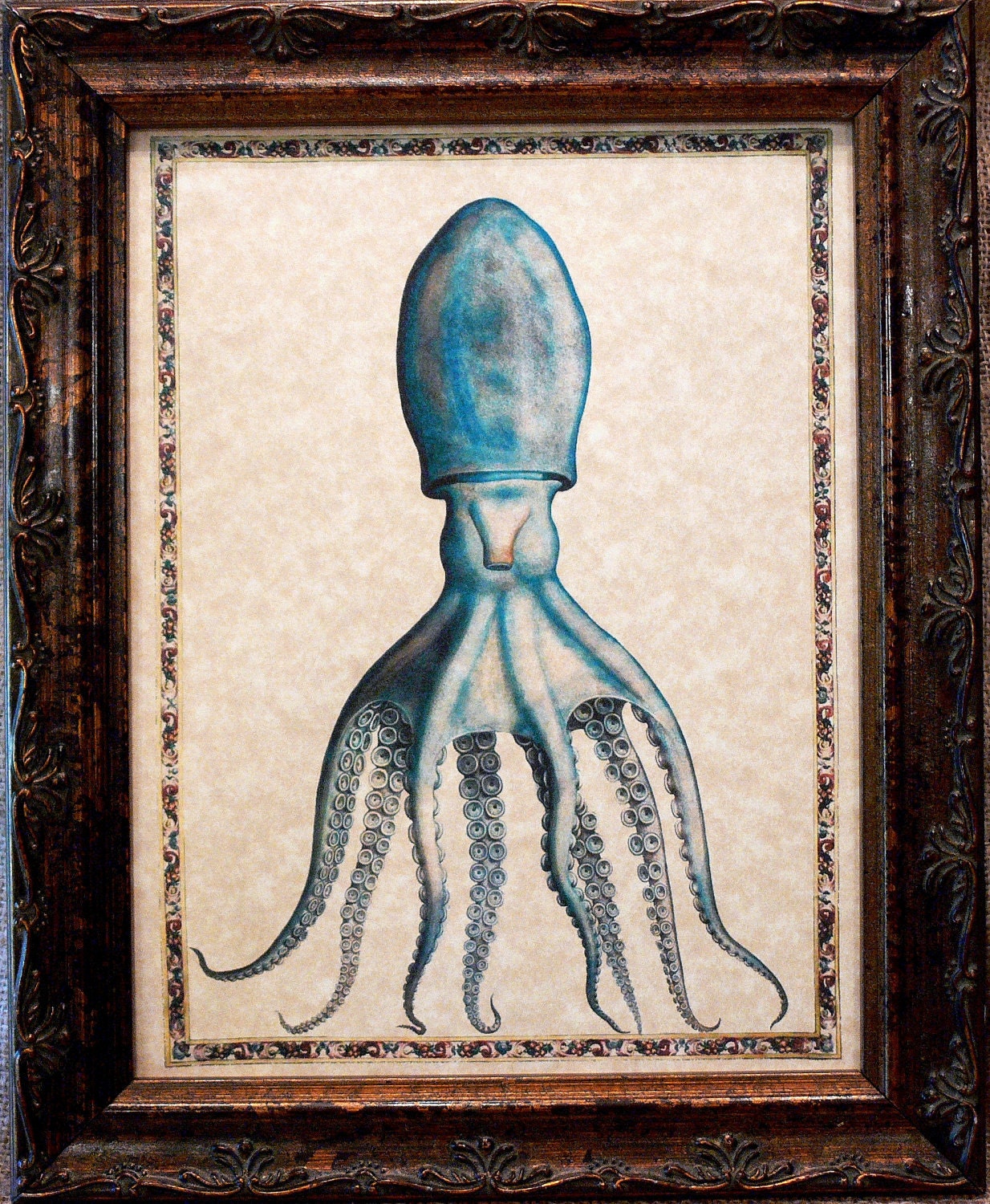 Octopus With Border Art Print From 1558 Art Print on Parchment - Etsy