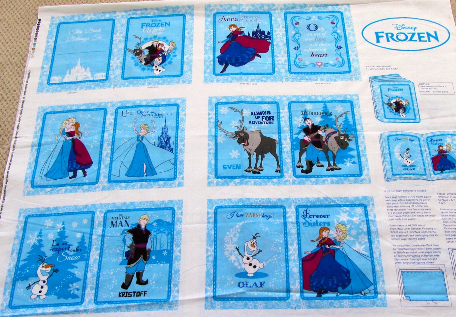 Anna And Elsa Pin Up