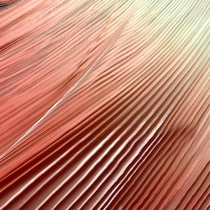 Gradient Soft Flowing Light Pleated Sunset Orange Red Accordion Fabric ...