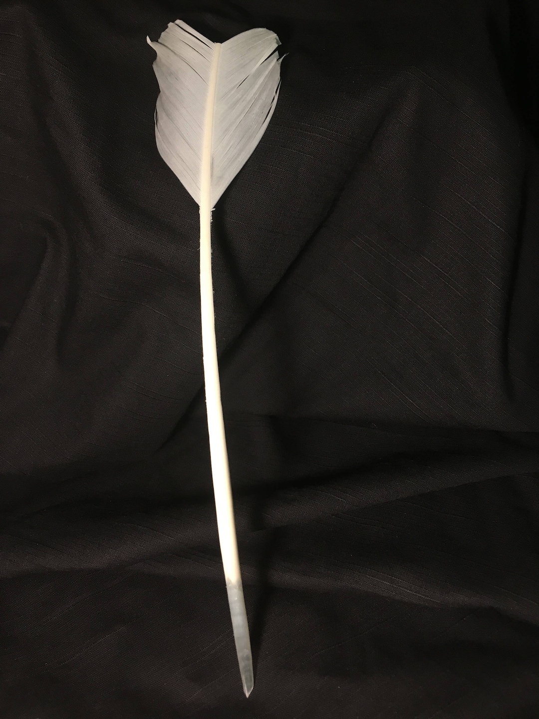 Feather Quill Dip Pen for Calligraphy and Drawing. Cuted and Hardened ...