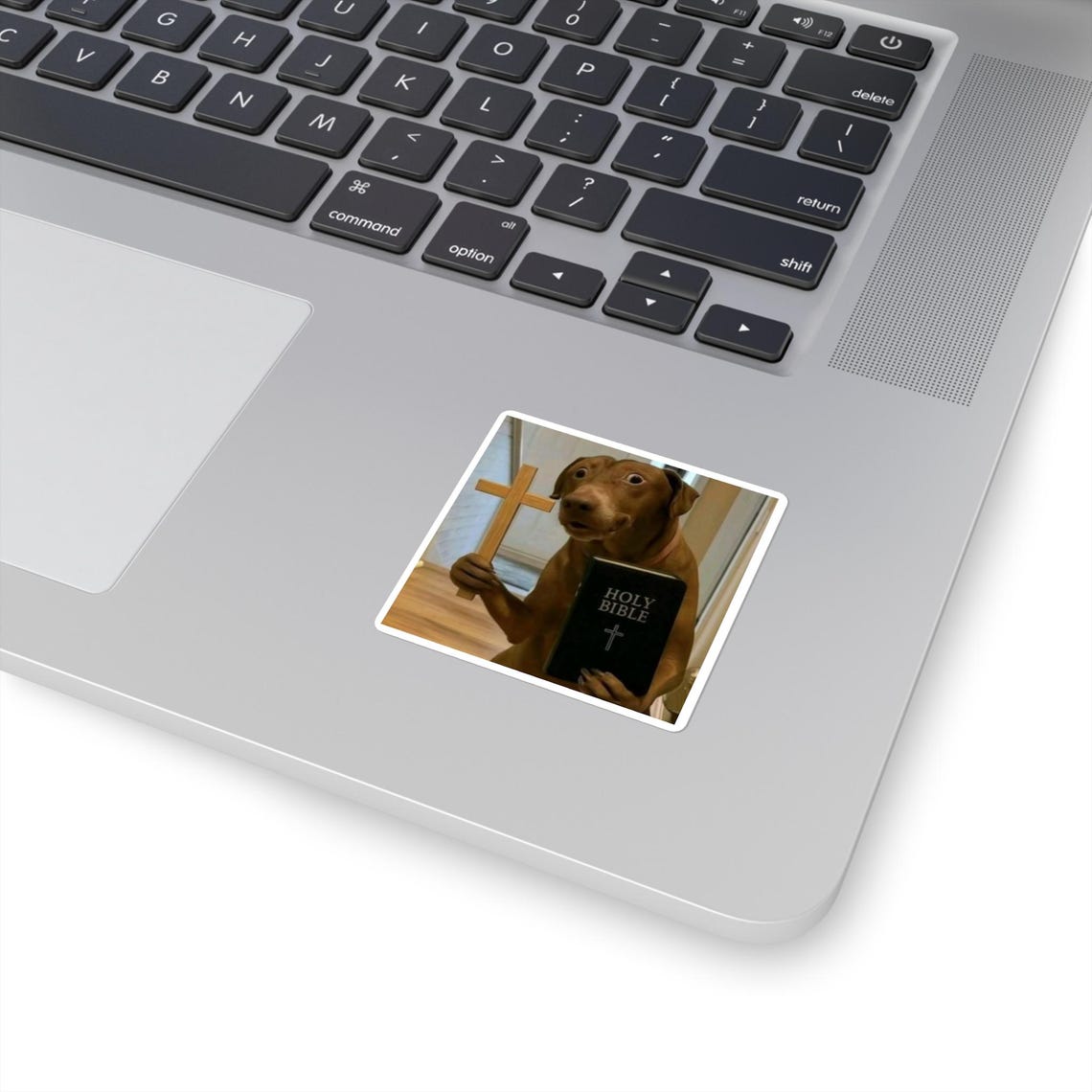 Meme Sticker - Etsy