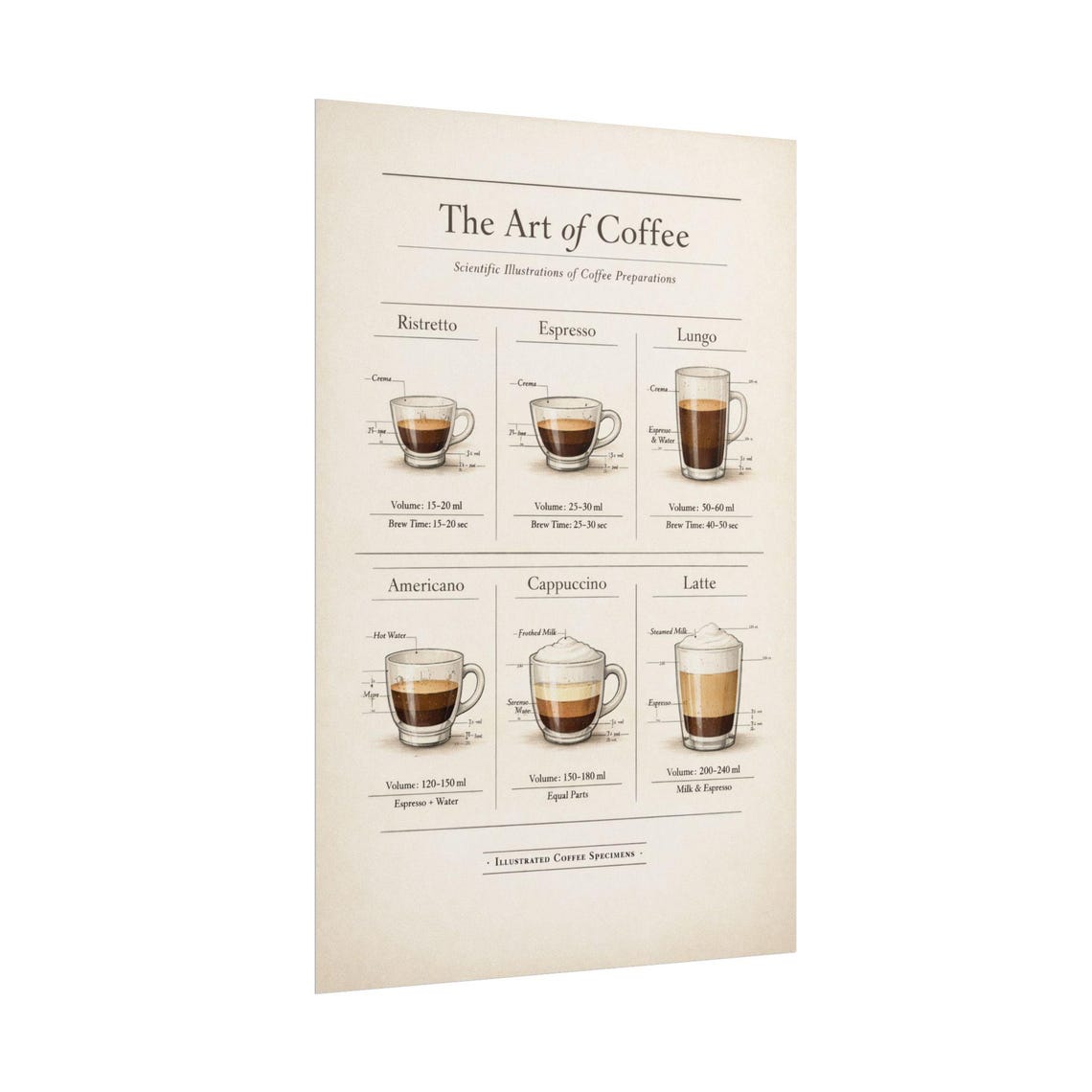 Coffee Diagram Poster | Illustrated Espresso Guide, Kitchen Wall Art - Etsy