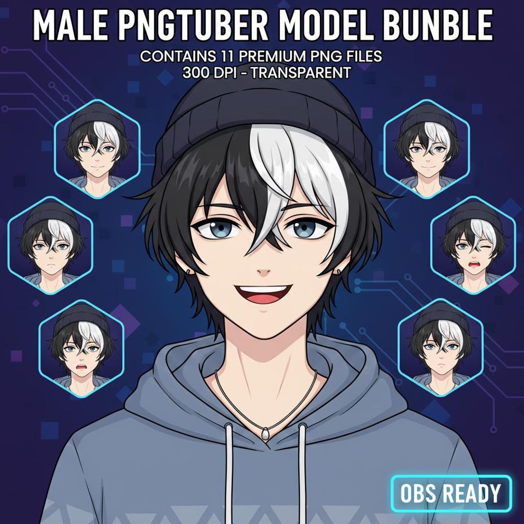 Male Pngtuber Model Bundle – 11 Expressions – Anime Boy Avatar – Voice ...