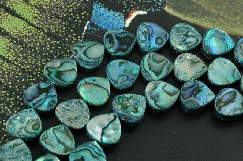 Stunning Natural Haliotis : Iris Abalone Sea Shell - Etsy