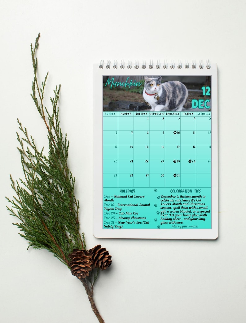 2026 Cat Wall Calendar Monthly Planner, Catful Home Decor, PNG Calendar ...