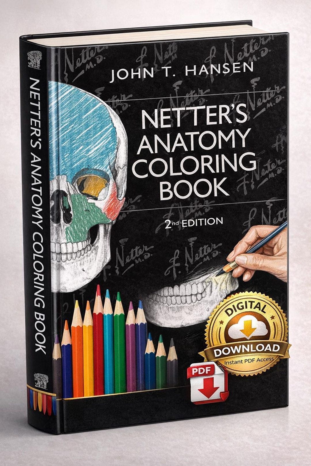 Netter's Anatomy Coloring Book - Etsy