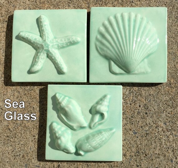 Home Improvement Set B Sand Dollar Three Whelks Three Shells 8 Colors ...