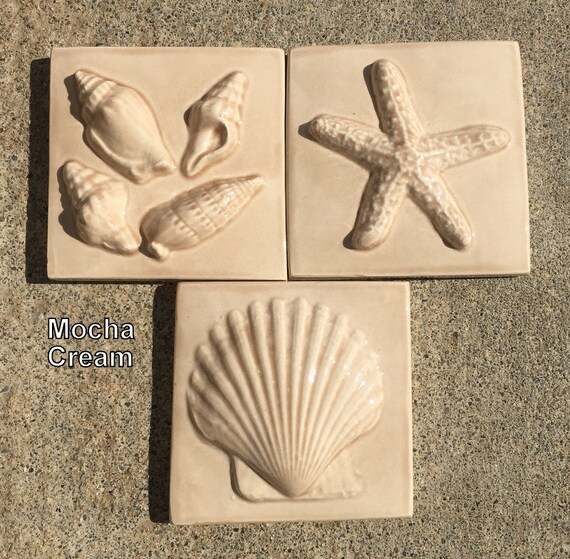 Home Improvement Set B Sand Dollar Three Whelks Three Shells 8 Colors ...