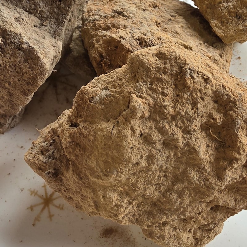 Mississippi Edible Dirt - Etsy