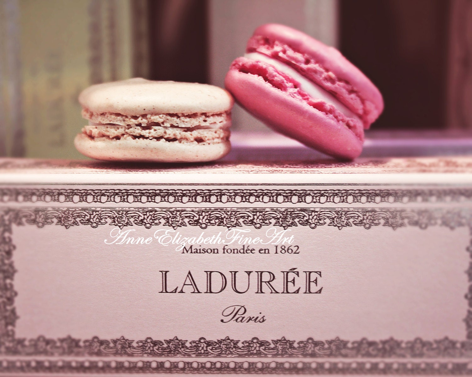 Macaroons Laduree