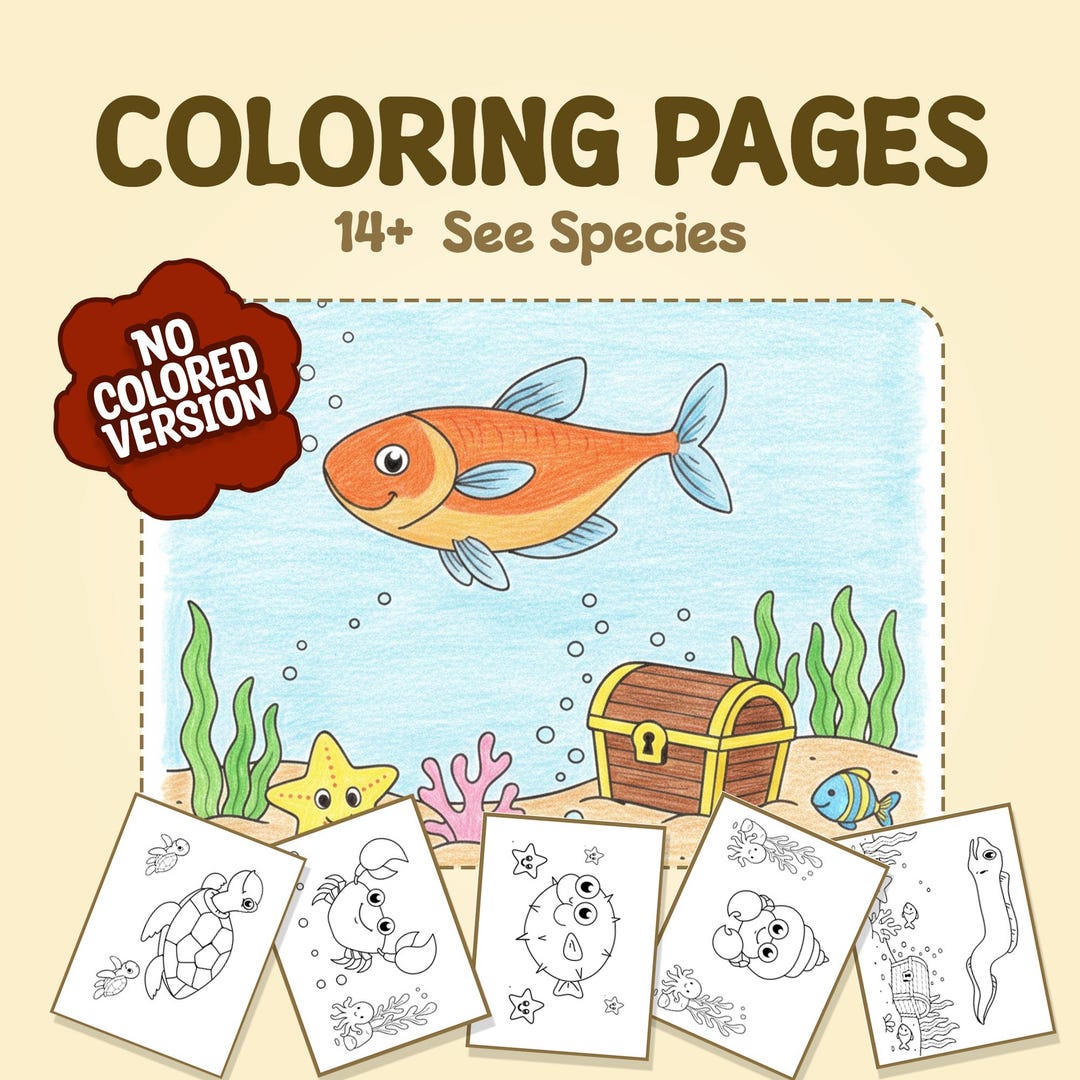 Ocean Animals Coloring Pages | Sea Species Cute Coloring Book Activity ...