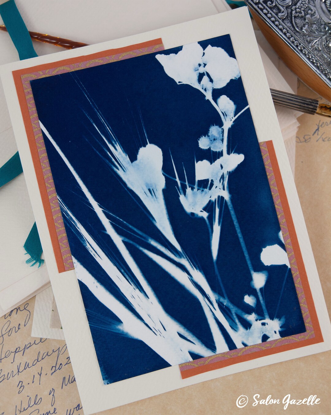 Botanical Cyanotype Greeting Card With Foxtail, Vetch, and Collaged ...