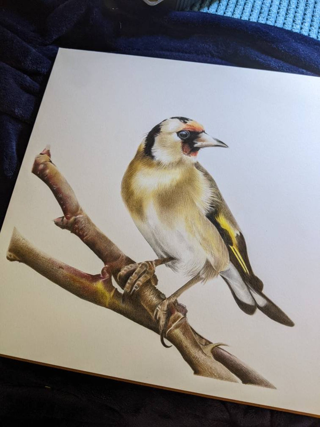 Goldfinch Print Signed by British Artist 10x8 Inch - Etsy