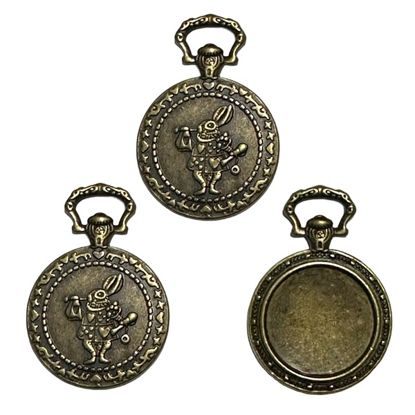 Rabbit Pocket Watch - Etsy