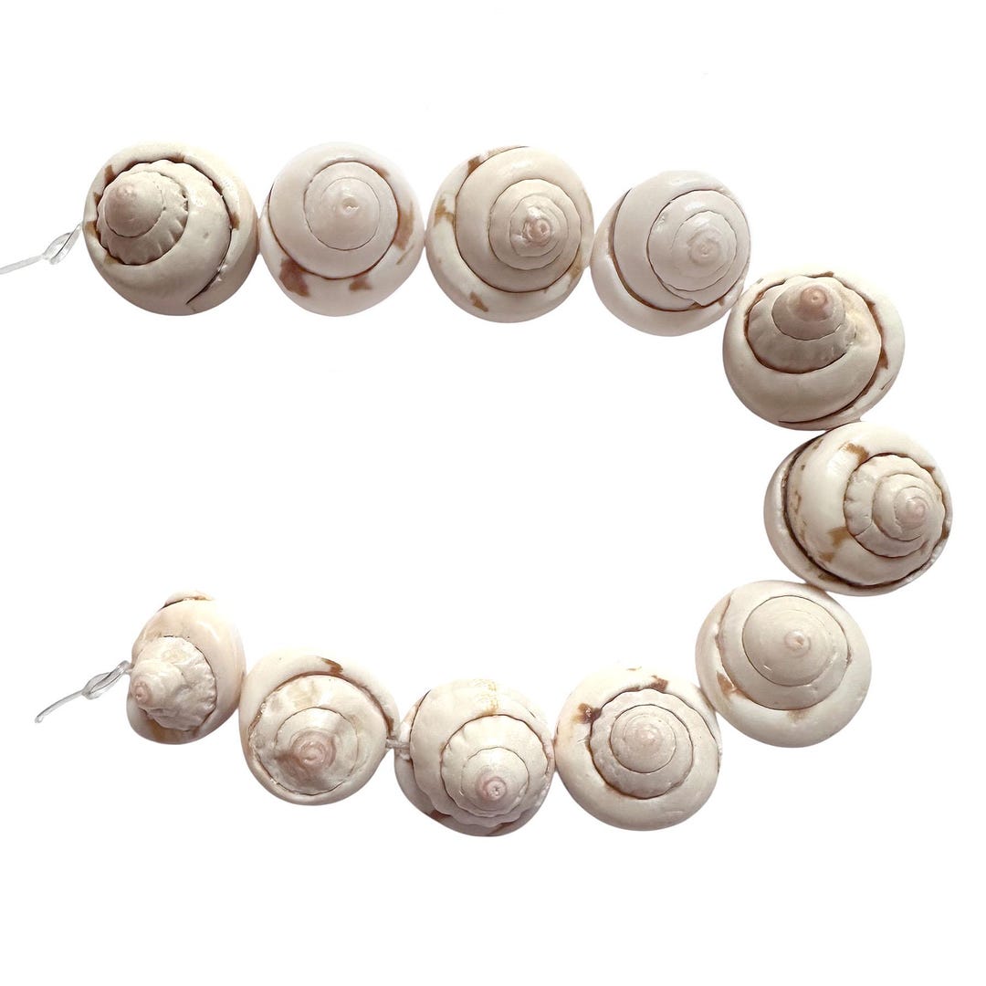 Drilled Spiral Sea Shells, Natural Tones, 18mm, (11 Pieces) Item05320 ...