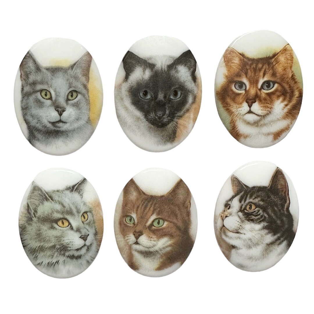 Vintage Acrylic German Cat Decal Cameos, Set of 6, Chalk White ...