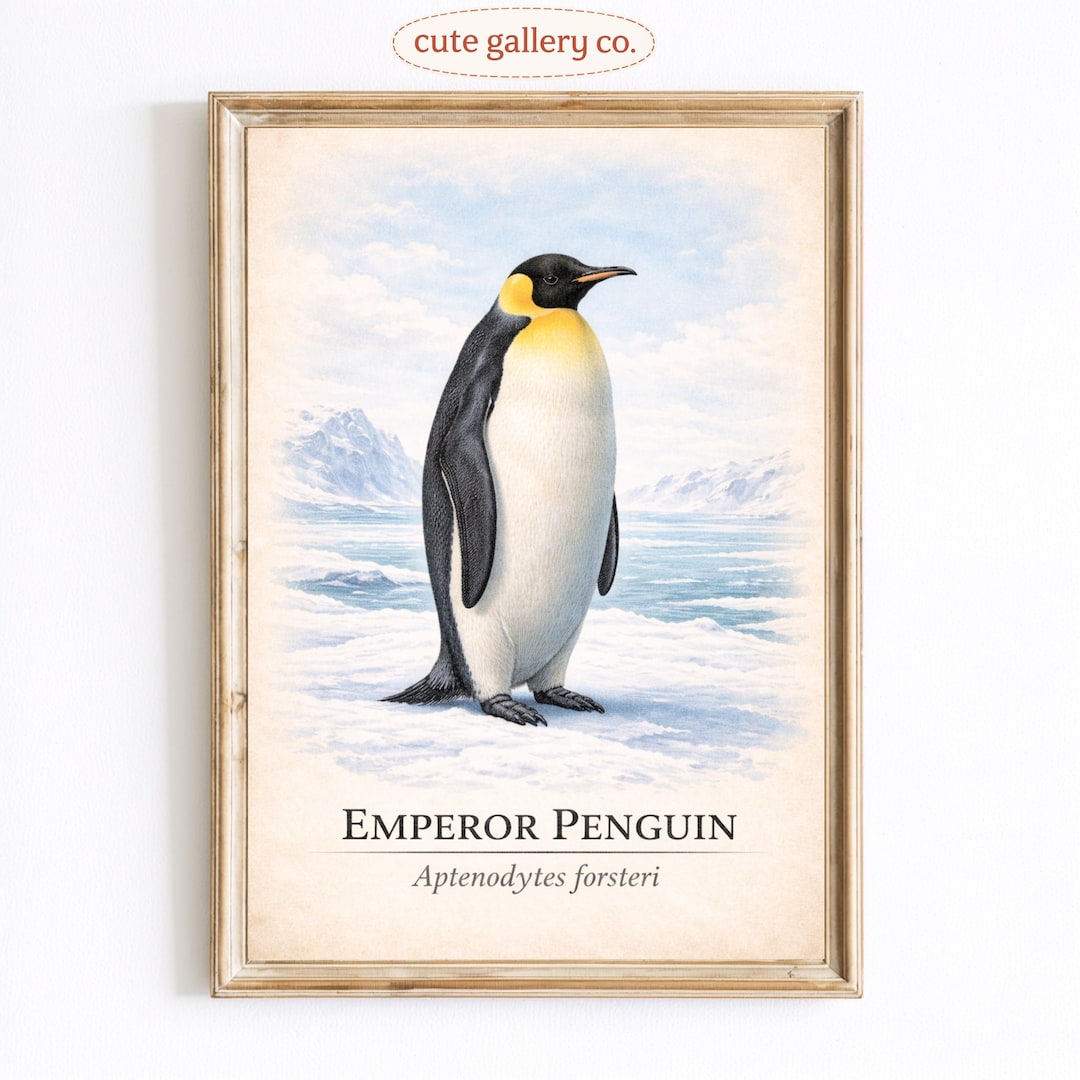 Emperor Penguin Illustration Poster, Vintage Wildlife Wall Art Print ...