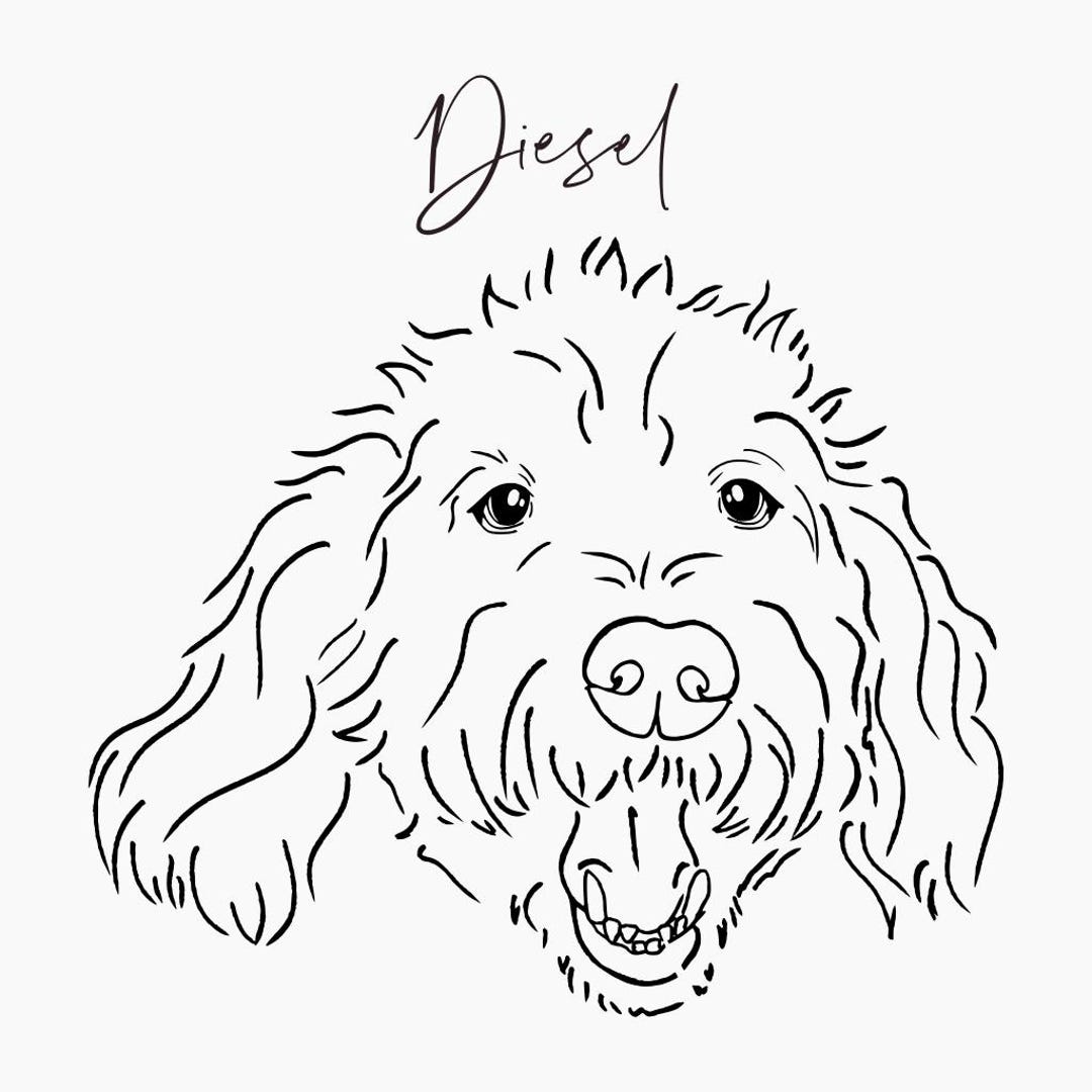 Custom Pet Line Drawing, Digital Pet Sketch From Photo - Etsy