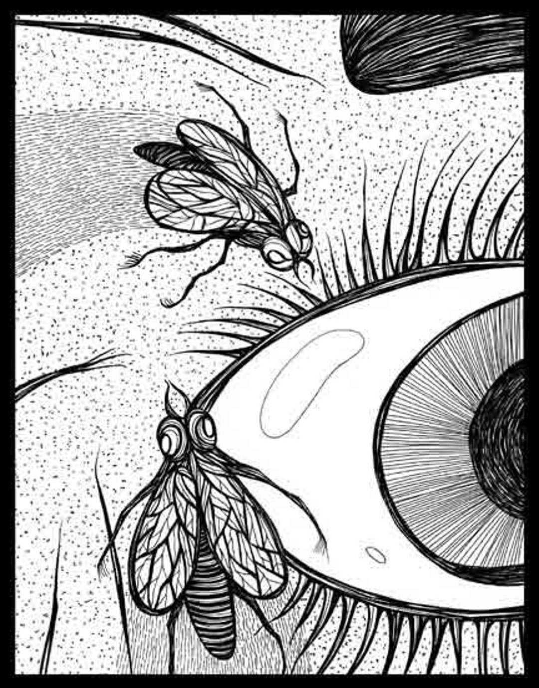 Buzzing Around - Pen and Ink, Black and White, Drawing, Fly, Eye, Buzz ...