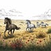 5 Horse Themed Coloring Pages, Adult and Children Equestrian Coloring ...