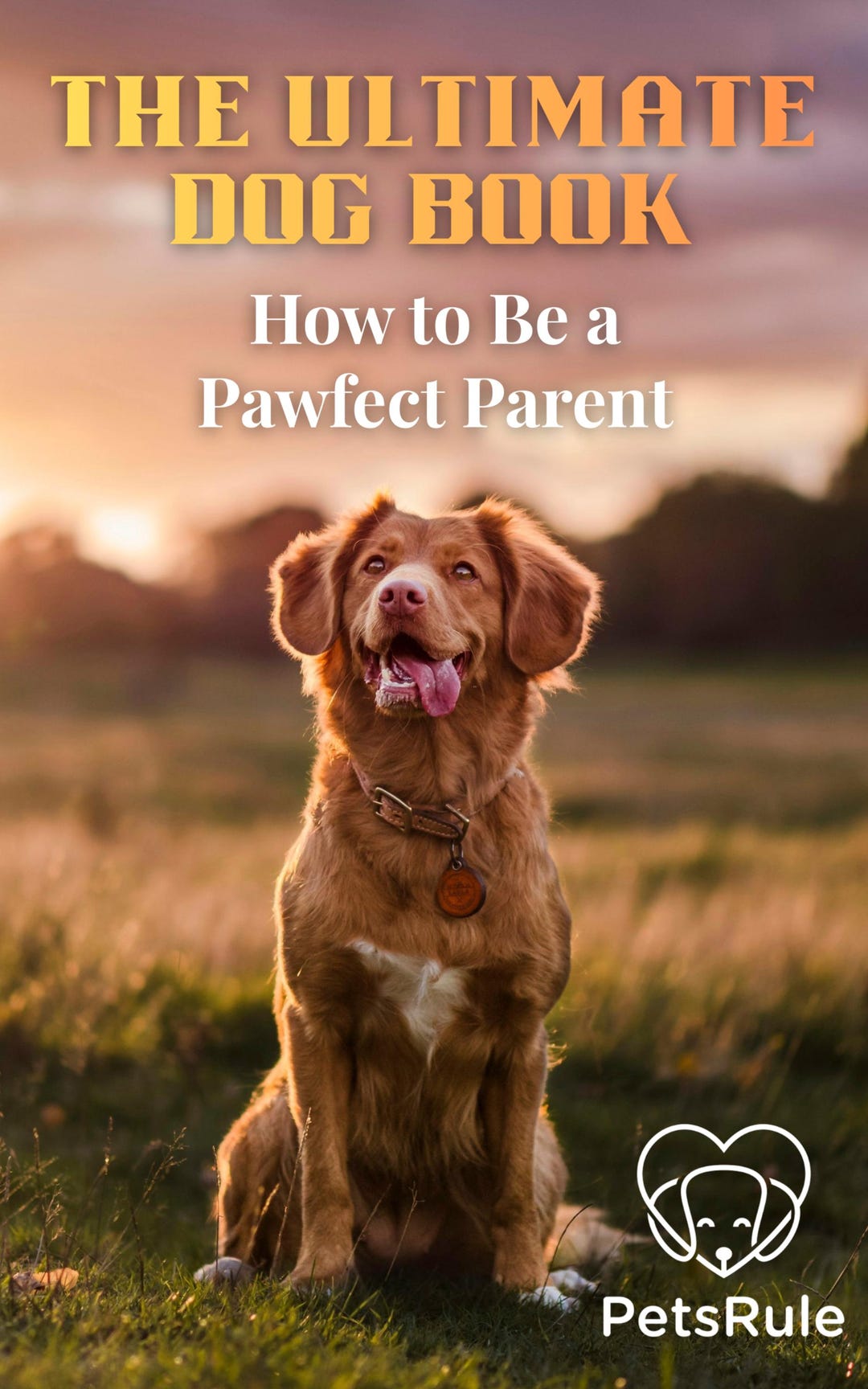The Ultimate Dog Book: How to Be a Pawfect Parent | Positive Training ...