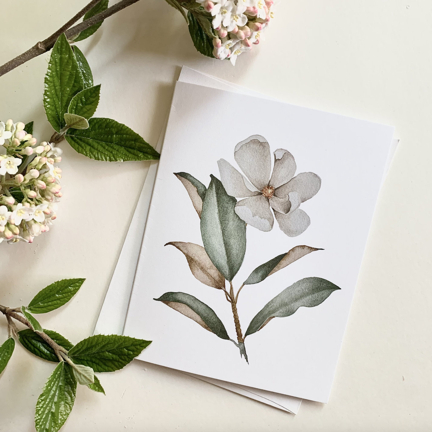 Magnolia Card Set (set of 6) - Etsy