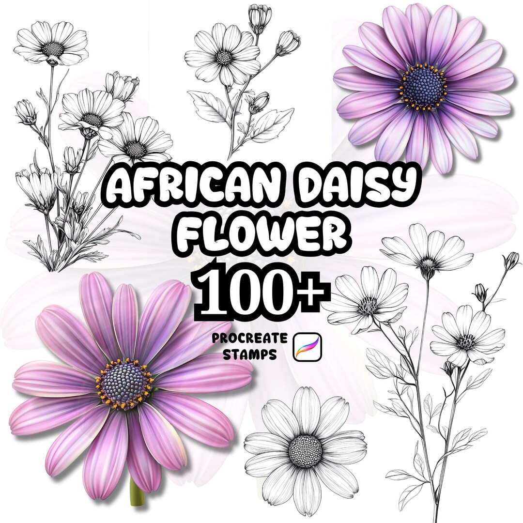 Procreate Flower Brushes, 100+ African Daisy Flower Procreate Stamps ...