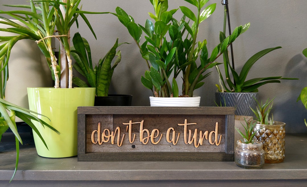 Don't Be A Turd Shiplap Rectangle Framed Sign in Charcoal - Etsy