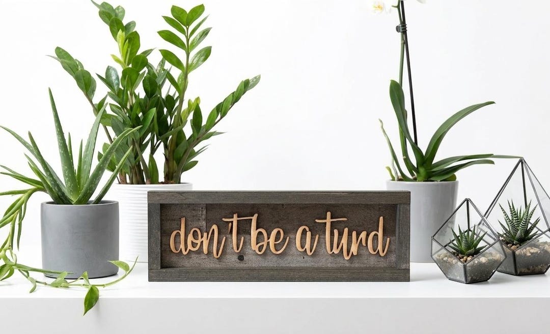 Don't Be A Turd Shiplap Rectangle Framed Sign in Charcoal - Etsy