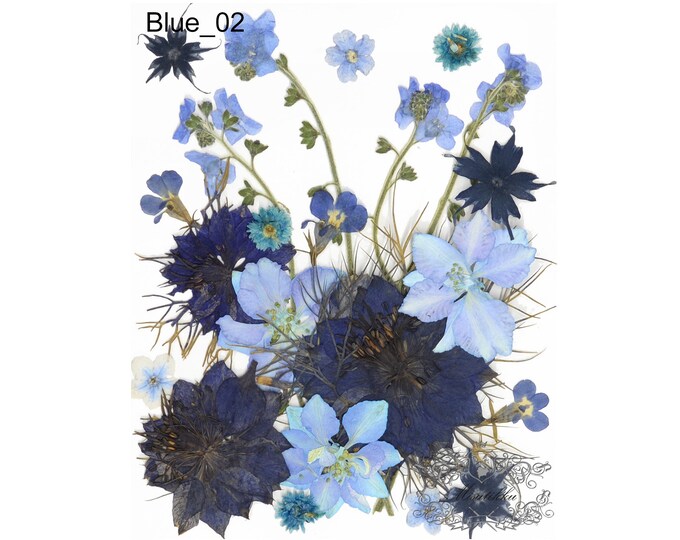 Pressed Flower Frame Wall Hanging Virgina Bluebells - Etsy