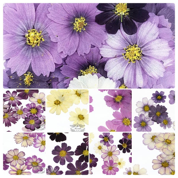 Pressed Flower - Etsy