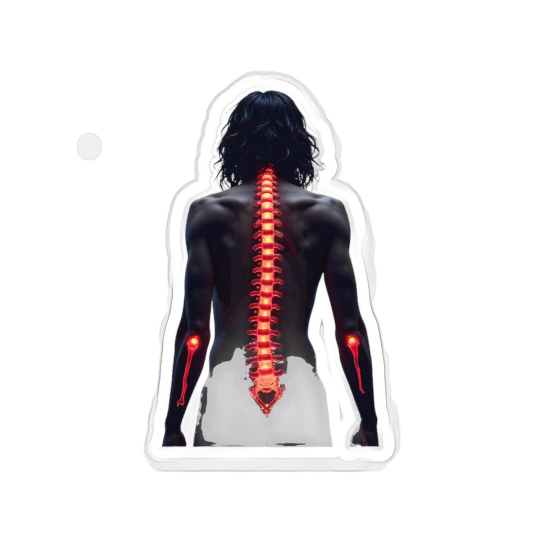 Spine Anatomy Sticker, Medical Vertebrae Decal, Chiropractor Laptop ...