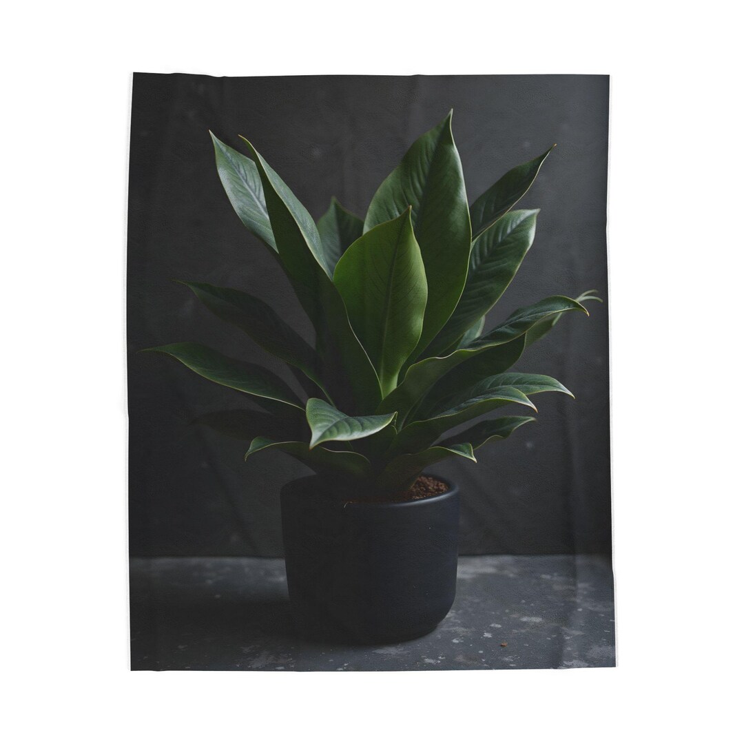 Snake Plant Throw Blanket, Living Room Decor, Minimalist Botanical Home ...