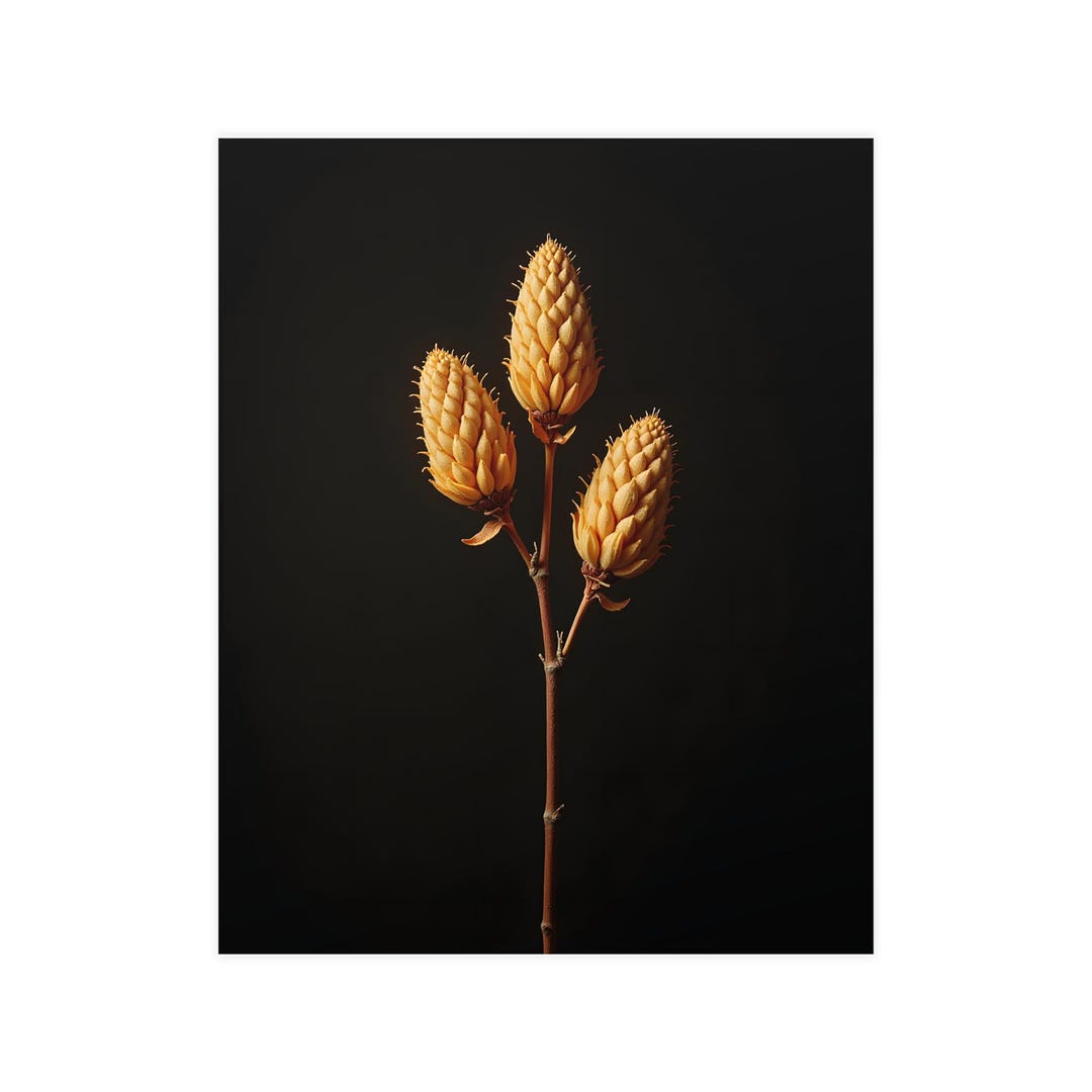 Magnolia Buds Wall Art, Botanical Photography Poster, Golden Brown ...