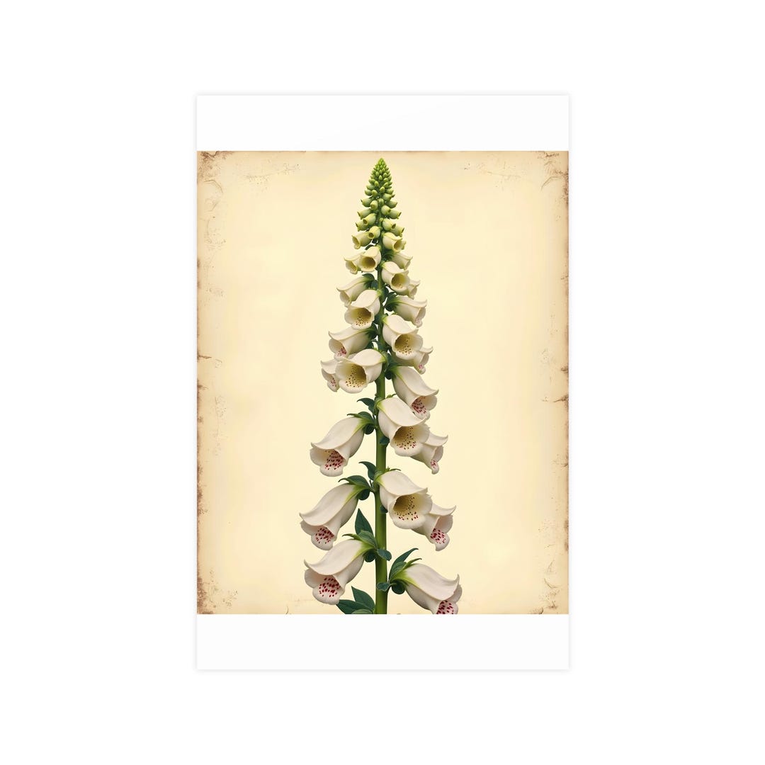Foxglove Botanical Art Print, Living Room Wall Art, Vintage Floral Home ...