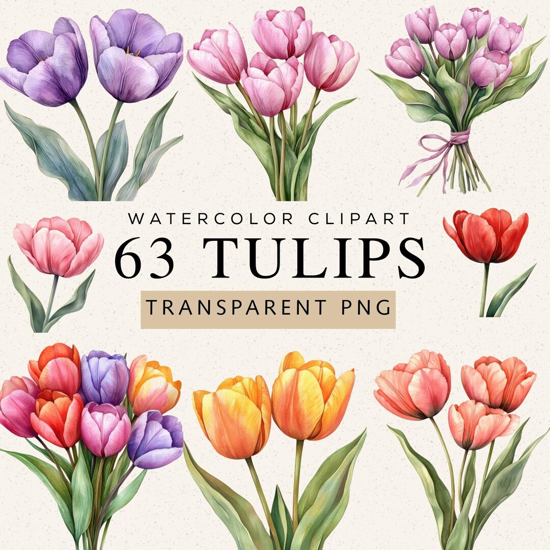 Watercolor Tulips Clipart, 63 PNG Images, Botanical Floral Illustration ...