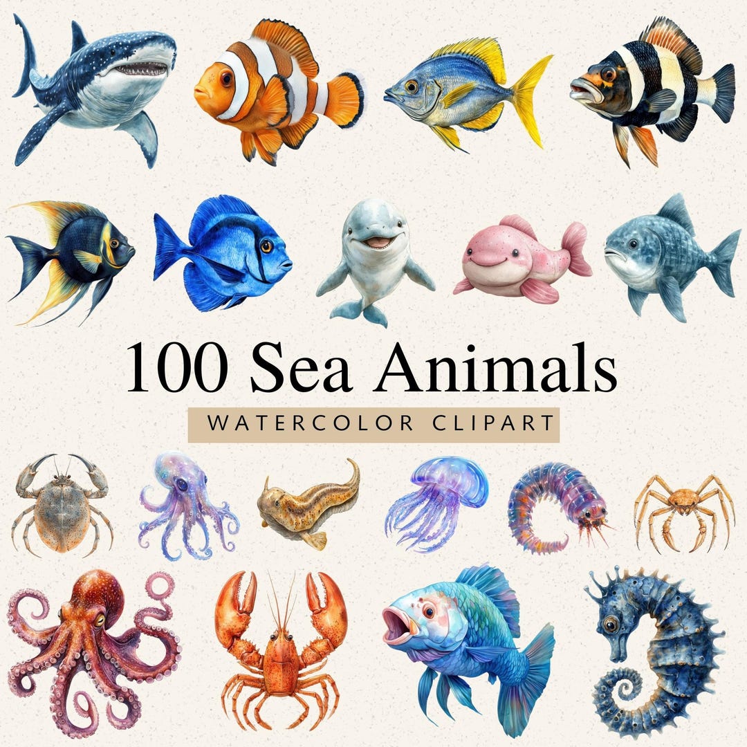 Sea Animals Watercolor Clipart, 100 PNG Images, Ocean Marine Wildlife ...