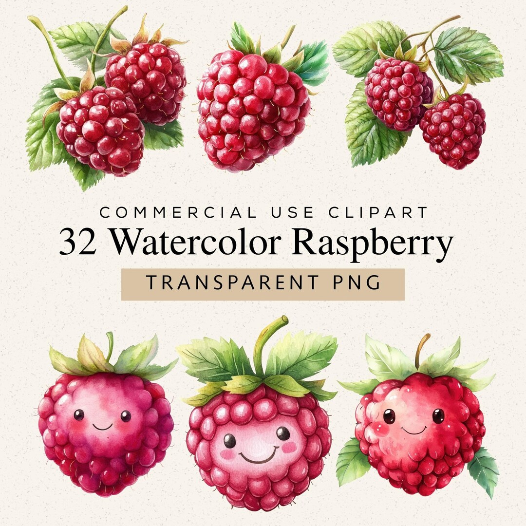 Watercolor Raspberry Clipart, Fresh Berry Illustration, Kitchen Fruit ...