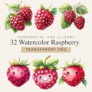 Watercolor Raspberry Clipart, Fresh Berry Illustration, Kitchen Fruit ...